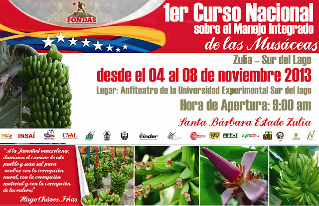 CULTIVOS AL DÍA: PARTICIPACION 1° CURSO NACIONAL DE MUSACEAS