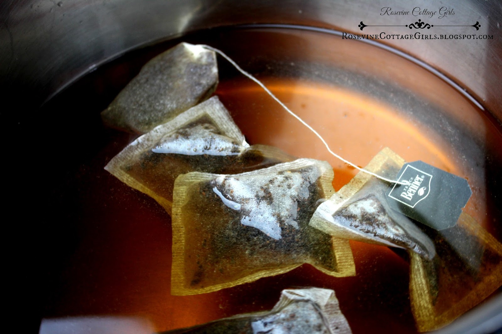 How To Grow A Kombucha Scoby