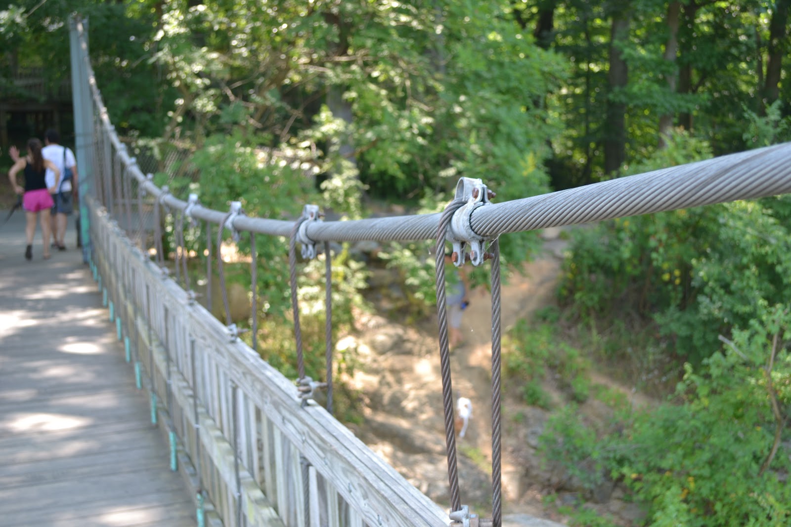 evergreen soul: a weekend in charlotte