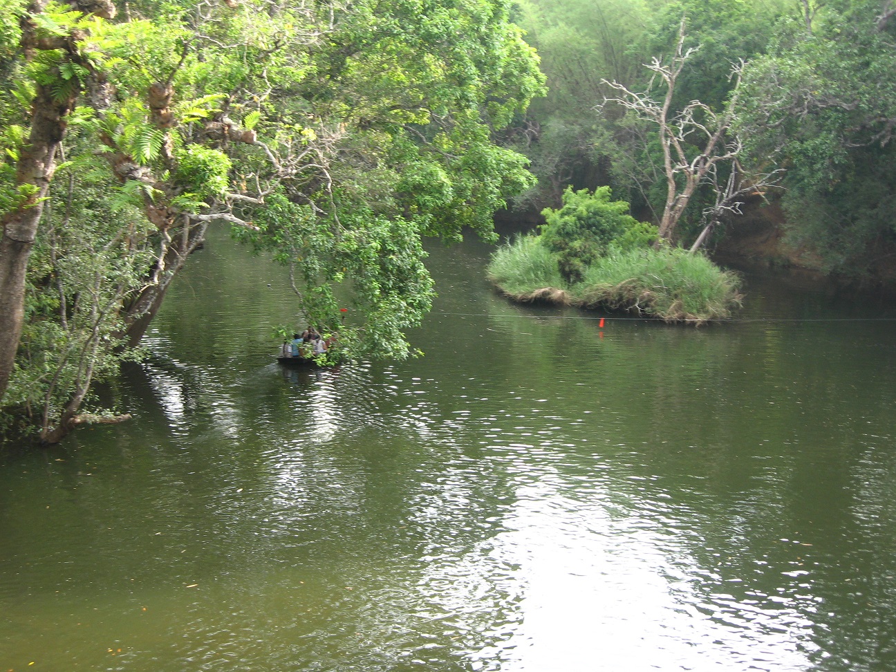 Coorg Nisargadhama Forest - Photographs