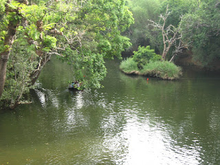 Coorg Nisargadhama Forest - Photographs
