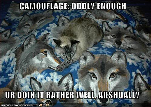Funny Animals Camouflage | Amazing Creatures
