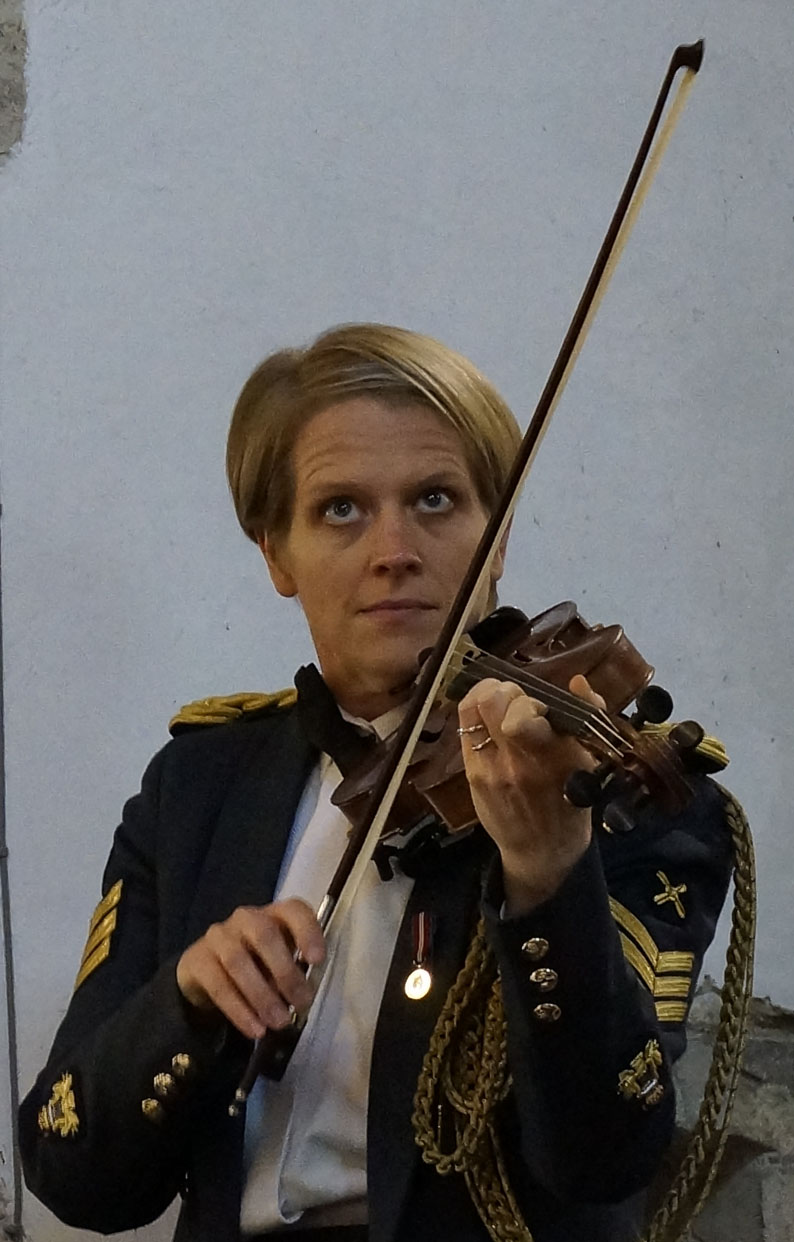 Nigel Fisher's Brigg Blog: BRIGG CURATE'S CONCERT A SOARAWAY SUCCESS