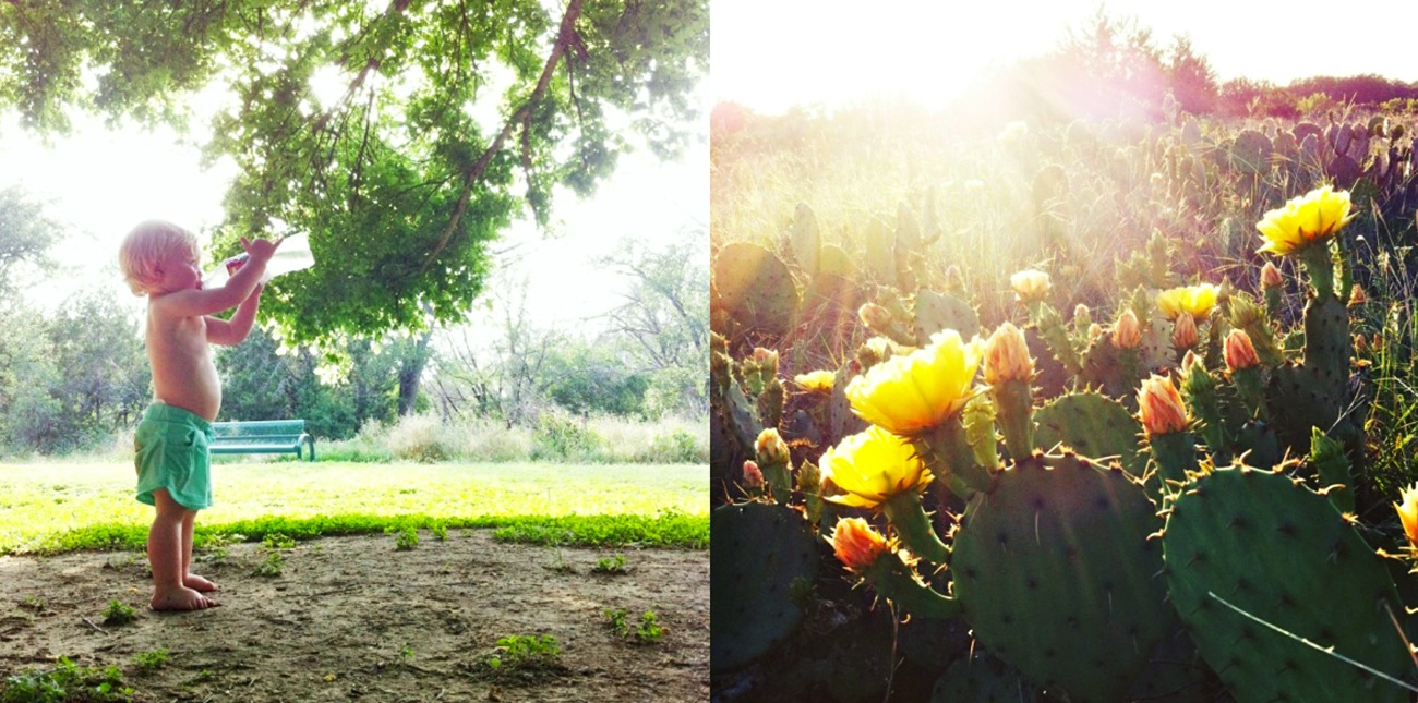 summer in a square - MADE EVERYDAY