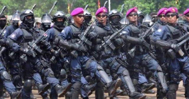 3 Special Forces of the World's Feared TNI | UPDATERS
