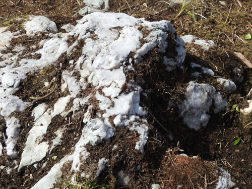 The Triskele and the Dragon: The Bohea Stone - One of Ireland's ...