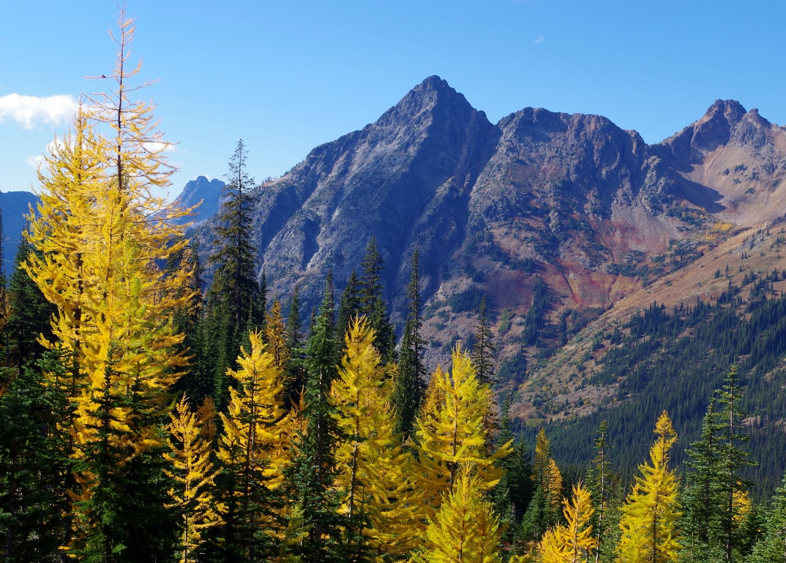 Pacific Northwest Seasons: North Cascades's Autumn Larches: Pure Gold
