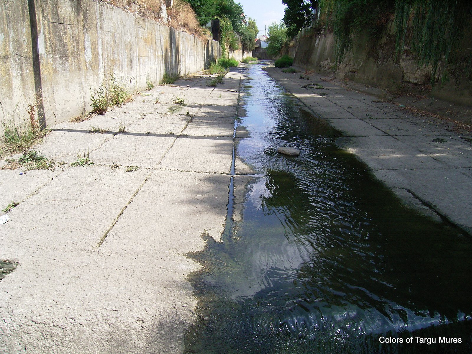 Paraul Poclos la varsarea in Raul Mures ~ Colors of Targu Mures