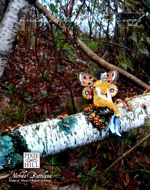 Pixie Hill: Wild Little Things