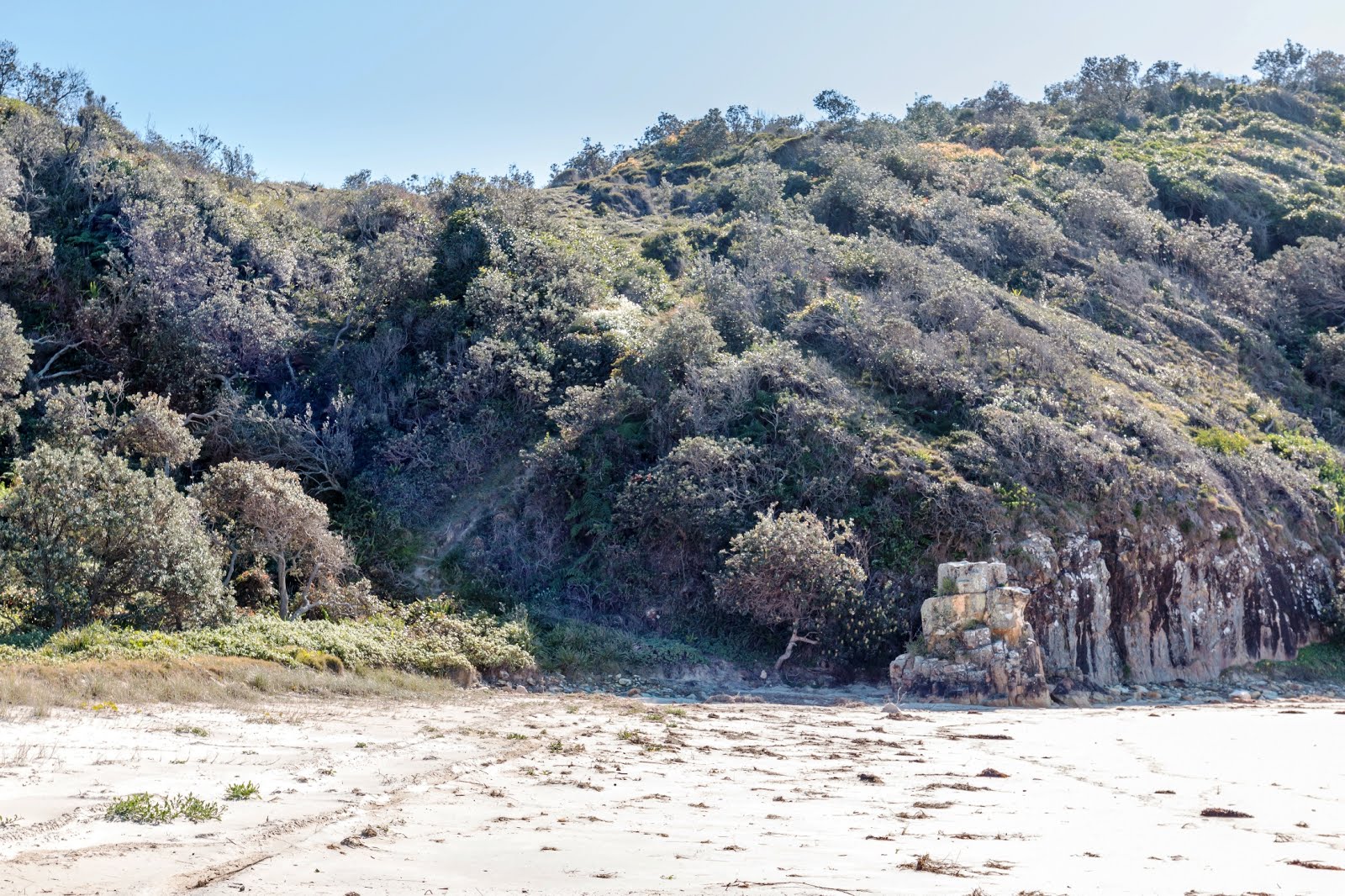 National Park Odyssey: Diamond Head Loop Walking Track, Crowdy Bay ...