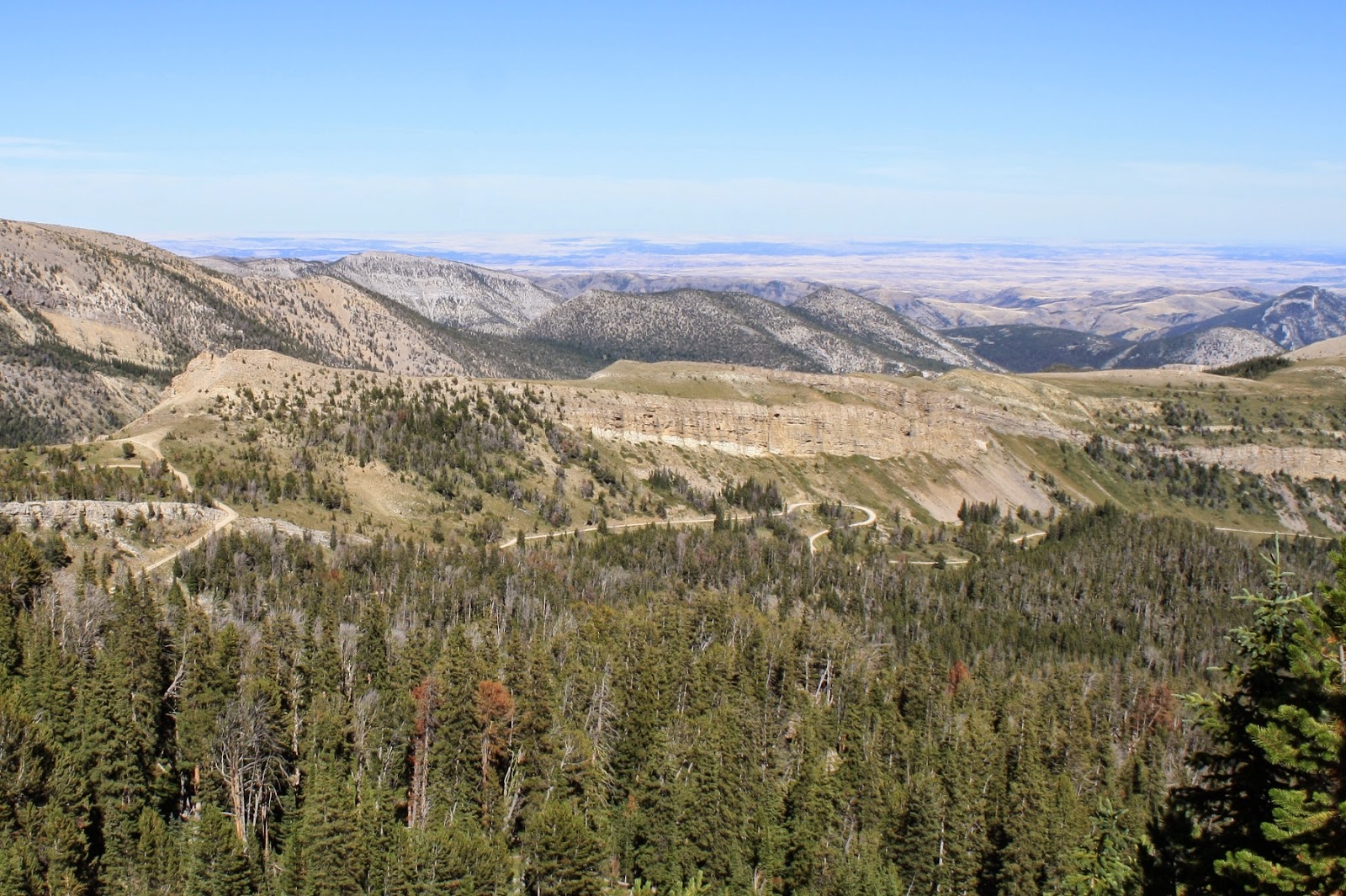 Living and Dyeing Under the Big Sky: Picket Pin Road in the Beartooth ...