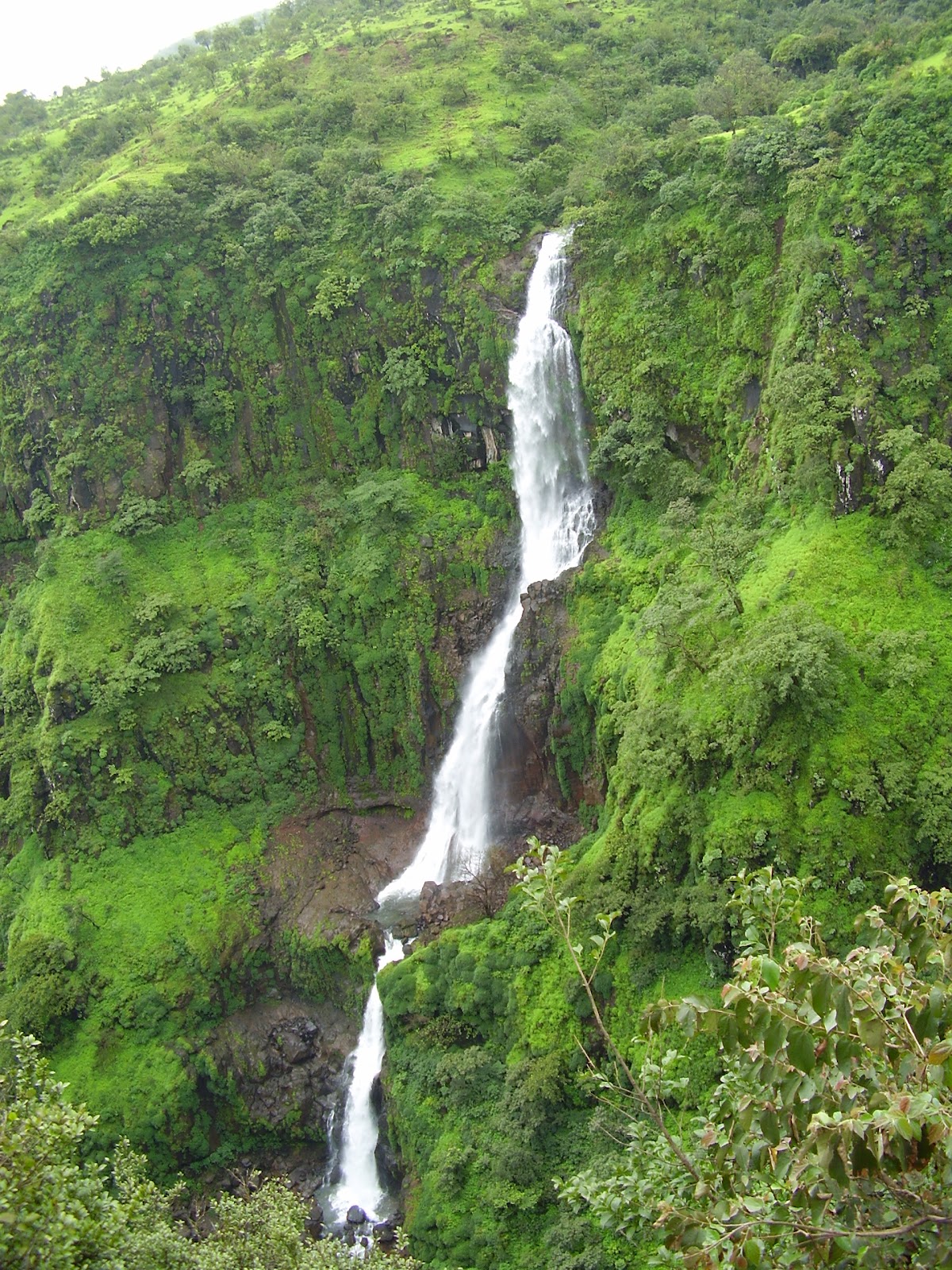 Panchendriya: KAS PLATEAU MAHARASHTRA