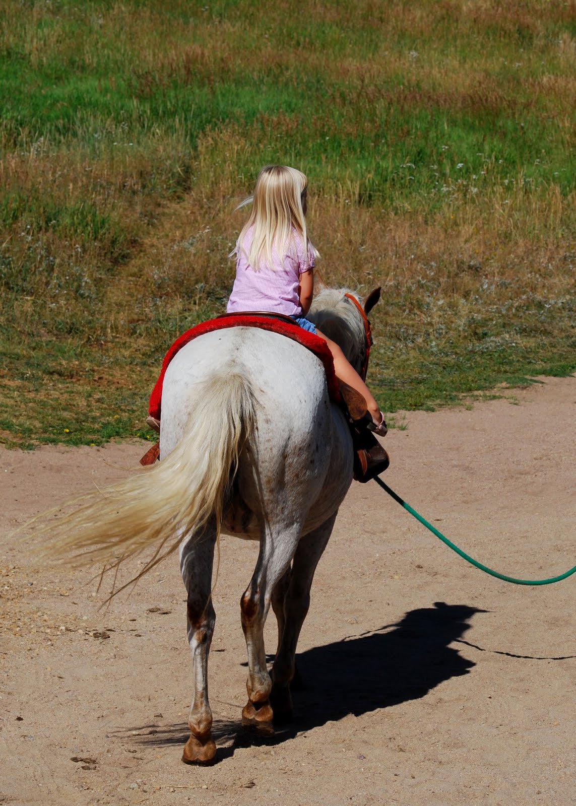 Magnolia and Boothe: Lane Guest Ranch