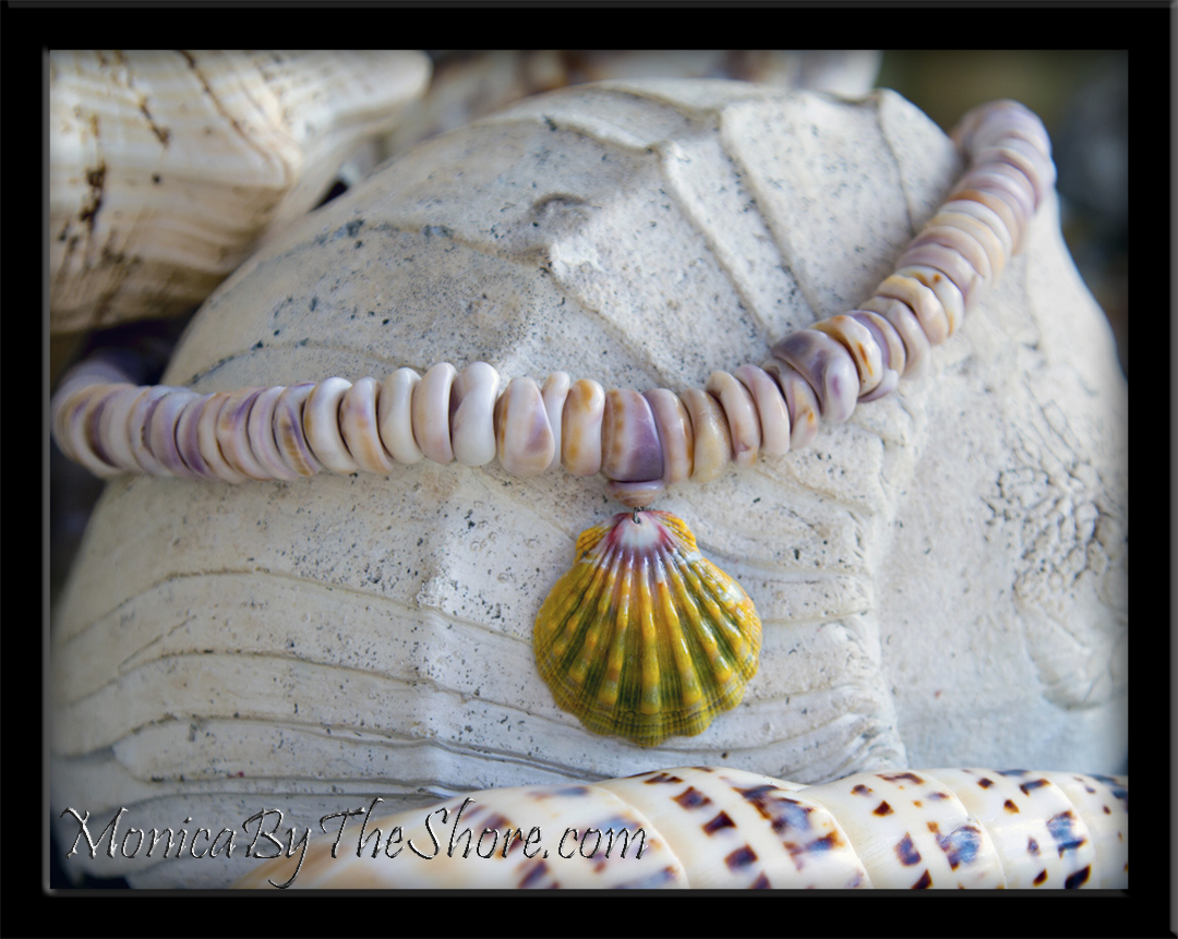 Monica's Blog: Purple Cone Puka Shell & Sunrise Shell Necklace