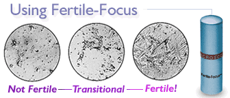 A Bohemian Like Me: Tools For Your Box