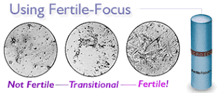 A Bohemian Like Me: Tools For Your Box