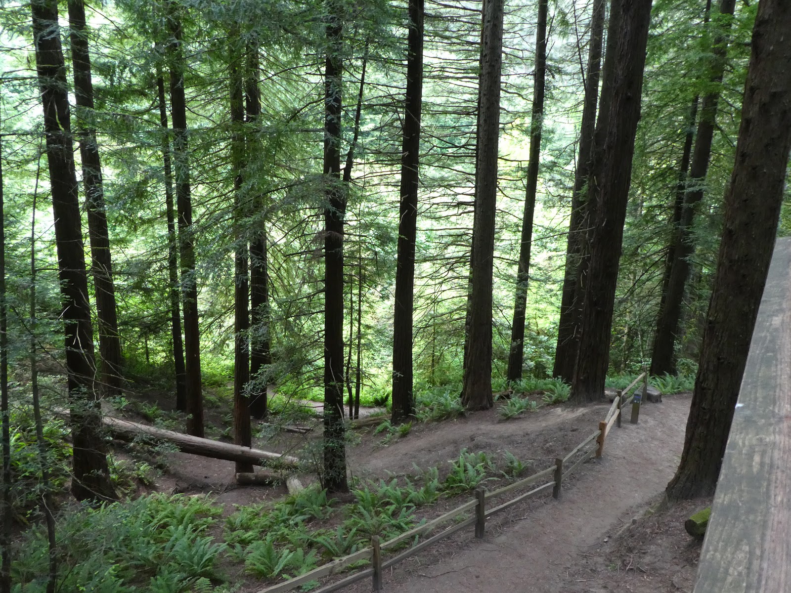 Hiking Oregon: June 2018