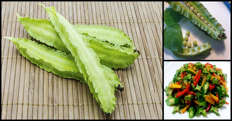 Health Benefits of Winged Beans (Sigarilyas) | Dr Farrah MD