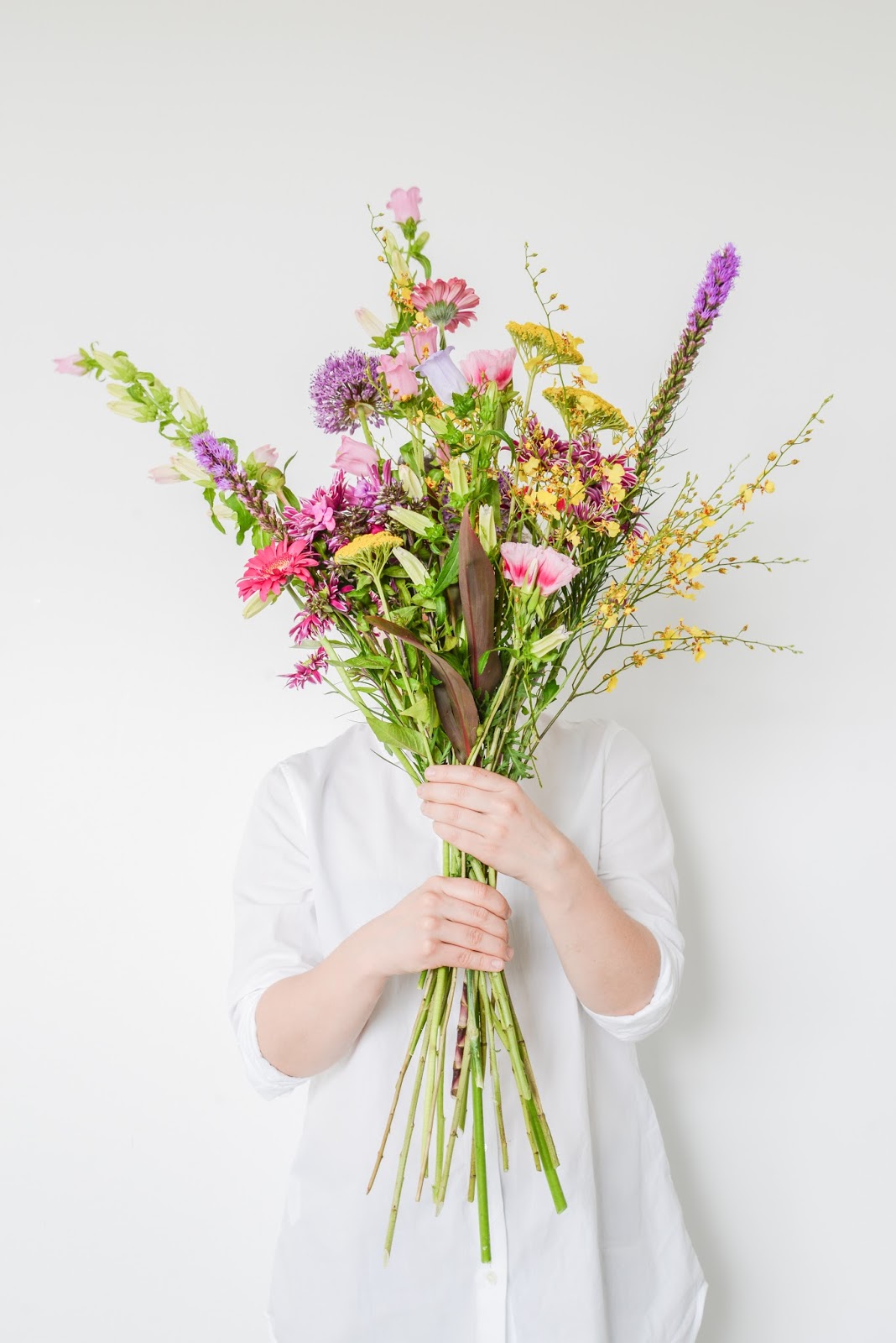 Mus in de wolken: Bloomon