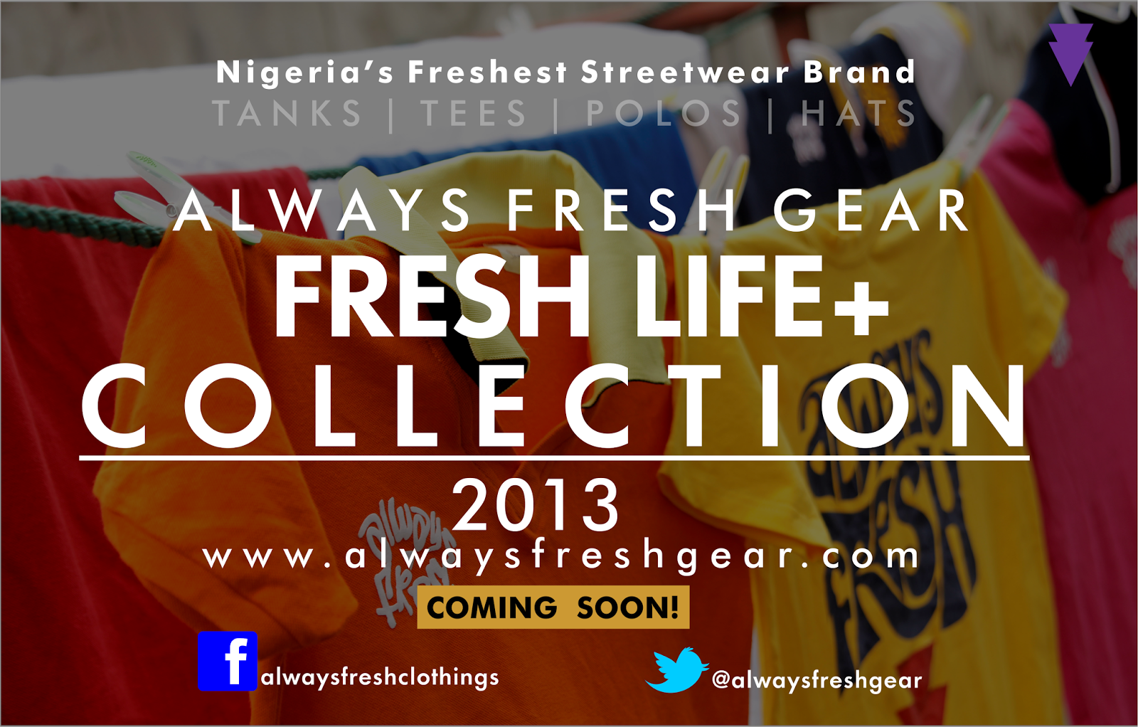 | Connoisseur: Always Fresh Gear set to launch new collection