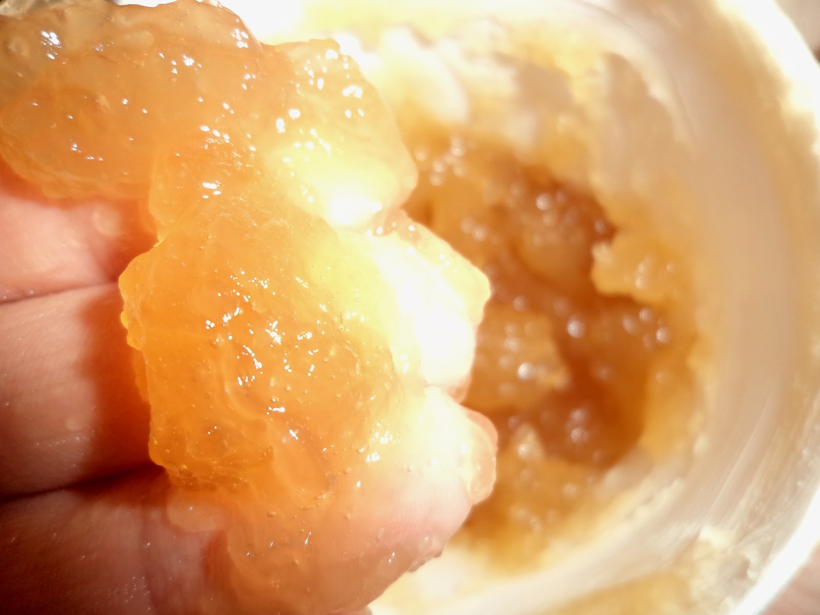 Review - Supliform ~ The Adventures of a Lady