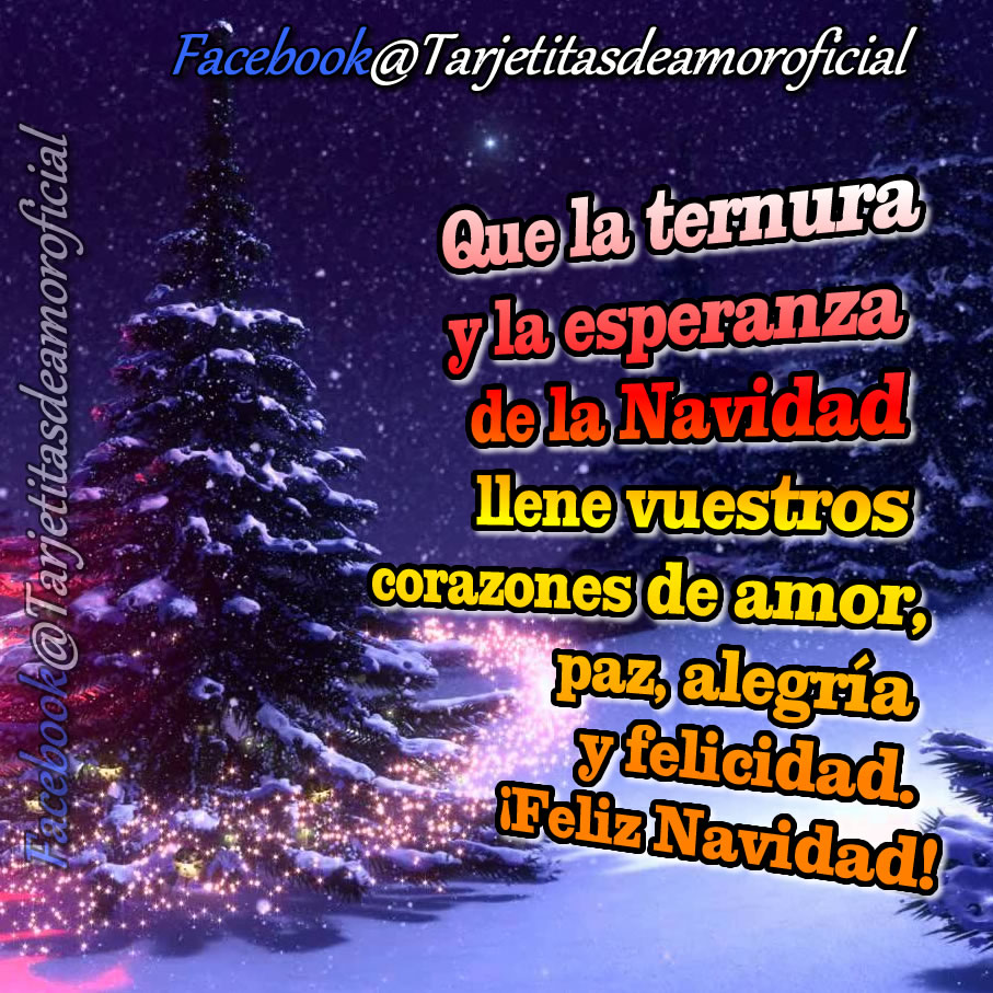 🎄🌹Feliz Navidad🎄🌹 - Que tengas la mas bonita y bendecida navidad,🎄🌹 y ...