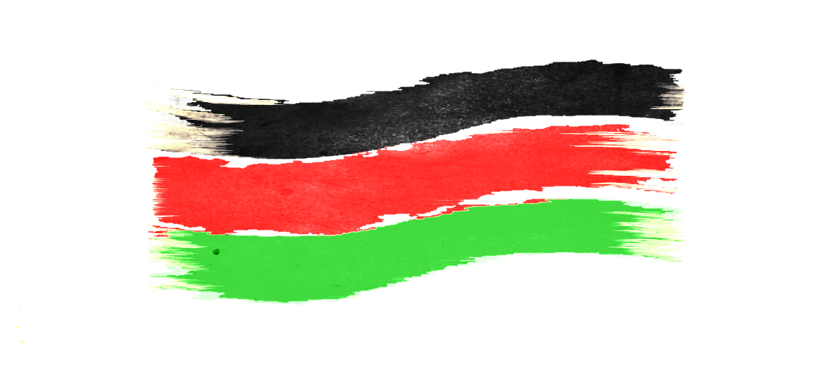 AFGZONE.COM: AFG FLAG