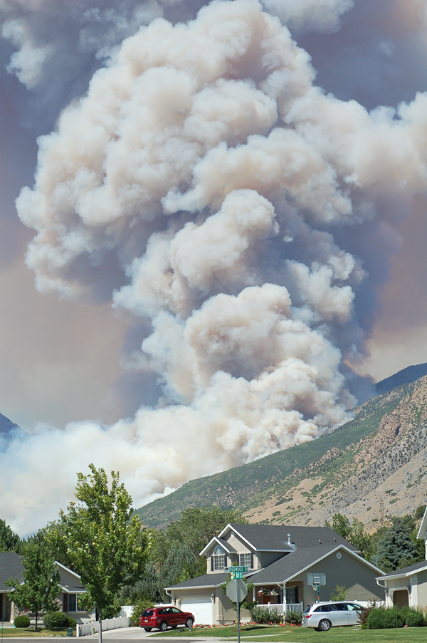 all things simple: quail fire in utah