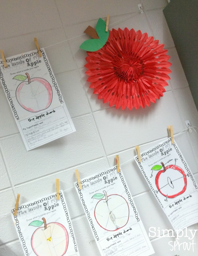 Apple Dunking - Simply Sprout