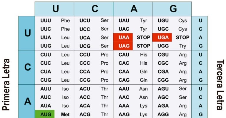 BIOLOGÍA®: El Código Genético