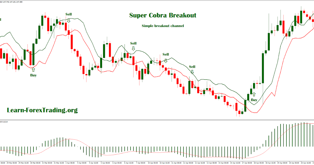 Super Cobra Breakout Trading - Learn Forex Trading