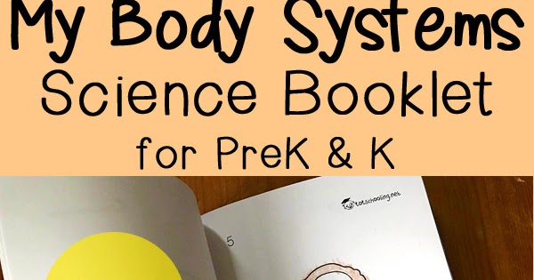 My Body Systems Science Booklet | Totschooling - Toddler, Preschool ...
