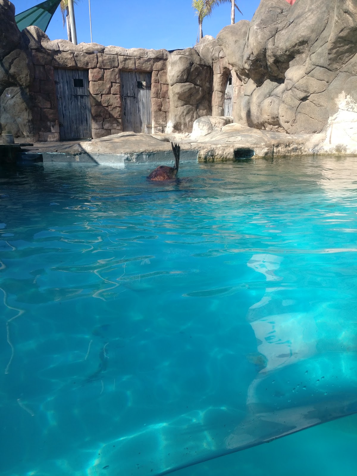 Schrage Family: The Brazilian Adventure / A Aventura Brasileira: São ...