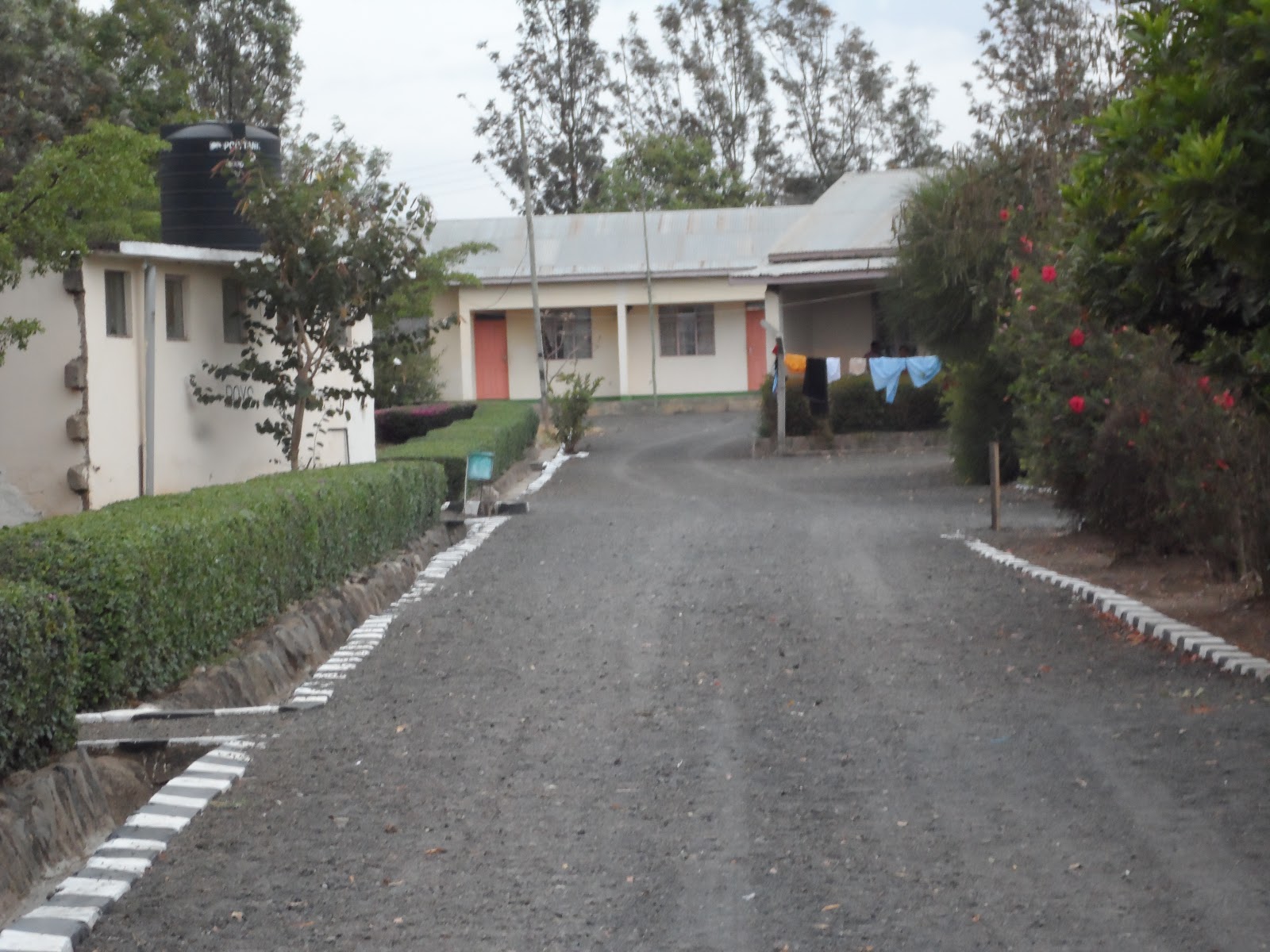 ARUSHA MODERN SCHOOLS LTD