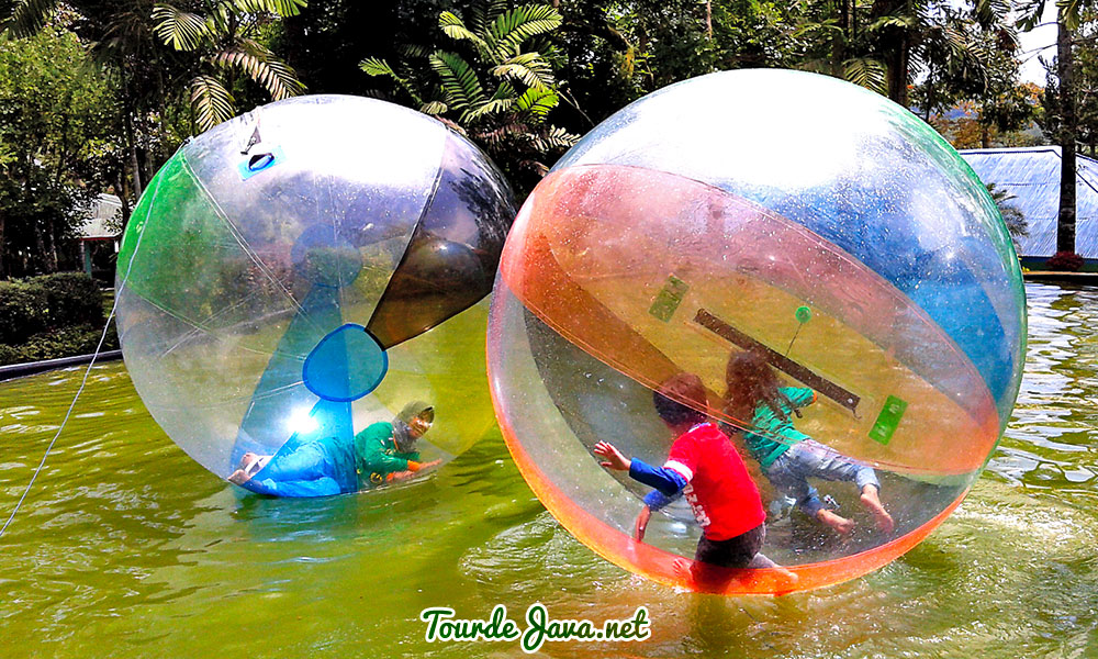 57+ Wahana Permainan Di Taman Bunga Nusantara