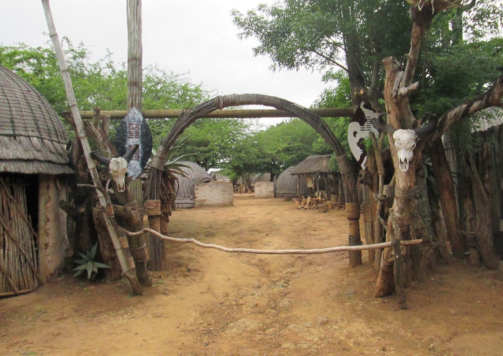 The Great Wildebeest Migration: Shaka Zulu