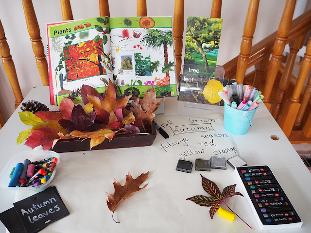 Learn with Play at Home: Autumn Leaf Investigation Table. Open ended ...