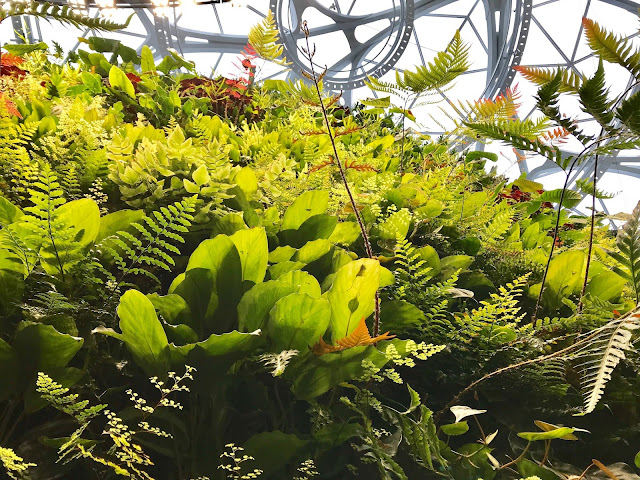 danger garden: Inside the Amazon Spheres