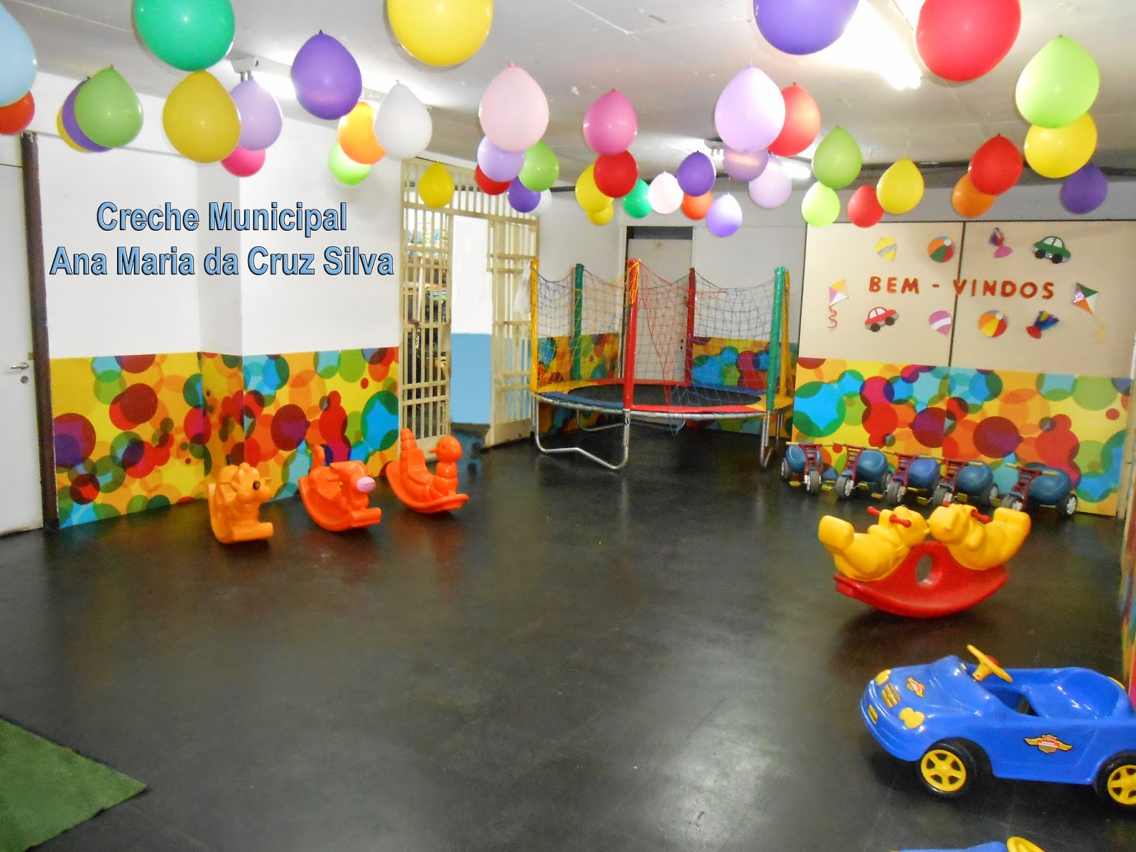 CM ANA MARIA DA CRUZ SILVA: Como tudo começou