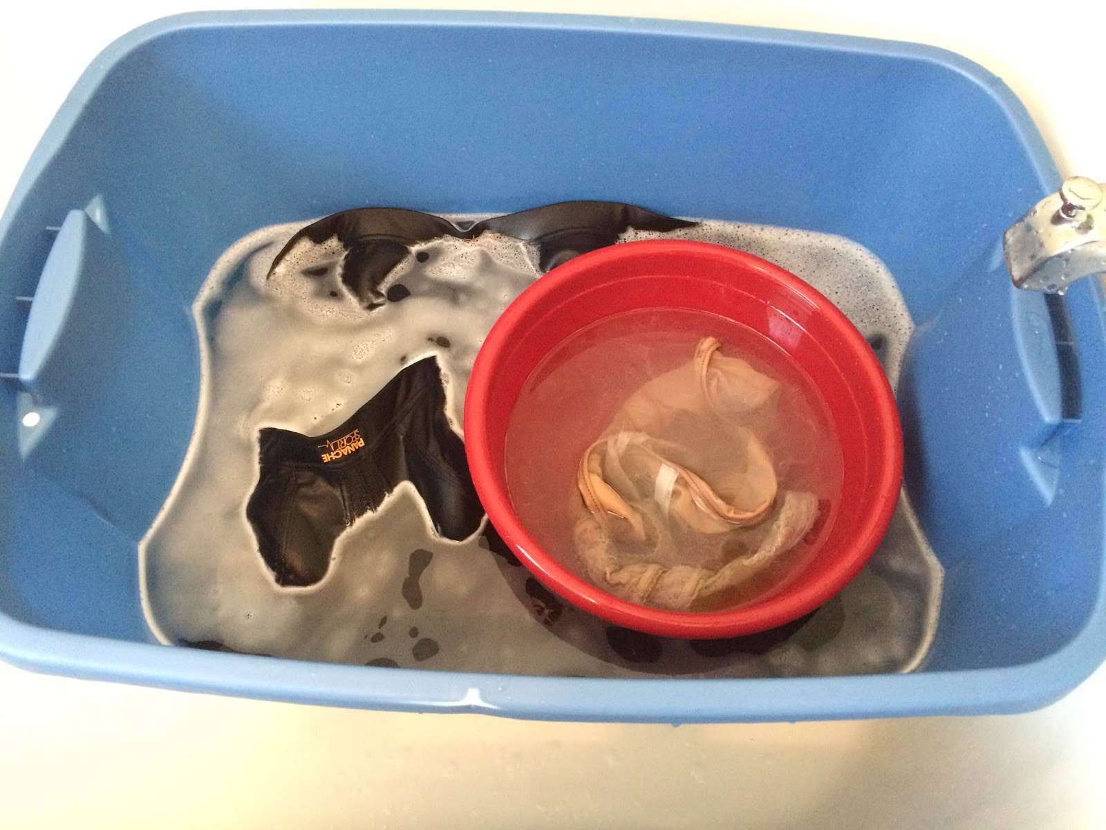 Lingerie Libra: The Lingerie Libra's Lazy Girl Guide to Bra Cleaning