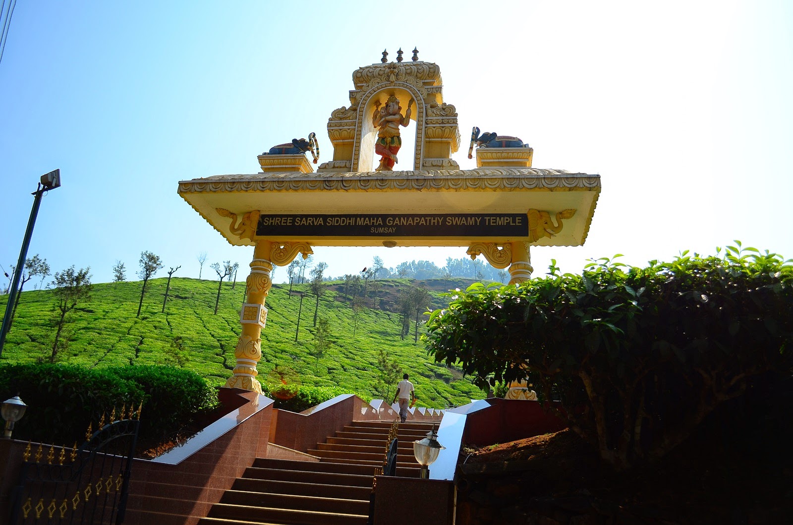 Sharath Hassan A Travelling Photographer: Samse Tea Estate near ...