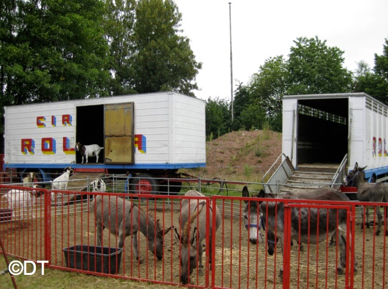 Norberts Internationale Circuswelt: Circus Rolina in Schweißeln Bermbeck