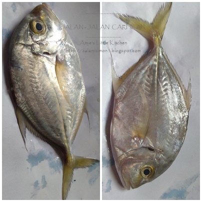 Kenali Pelbagai Jenis Ikan di Pantai Timur Sabah - Amie's Little Kitchen