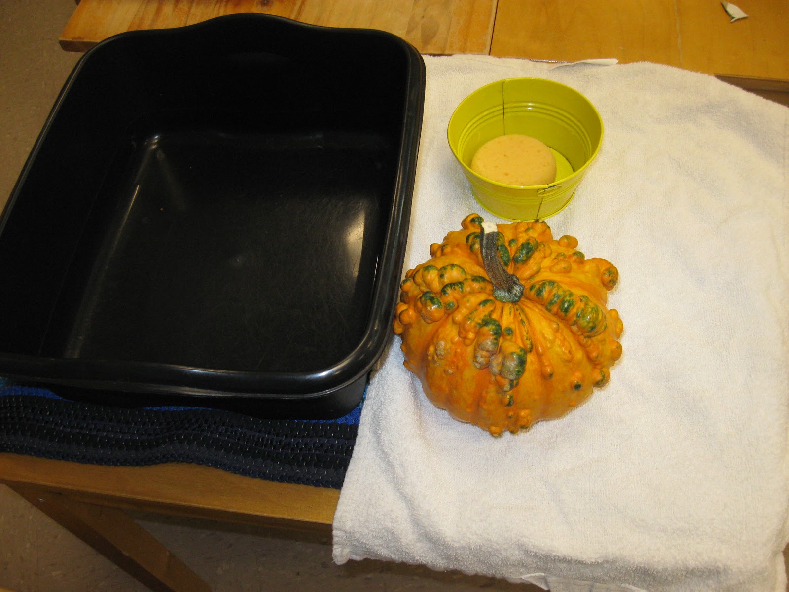 Making Montessori Work: Pumpkin Scrubbing