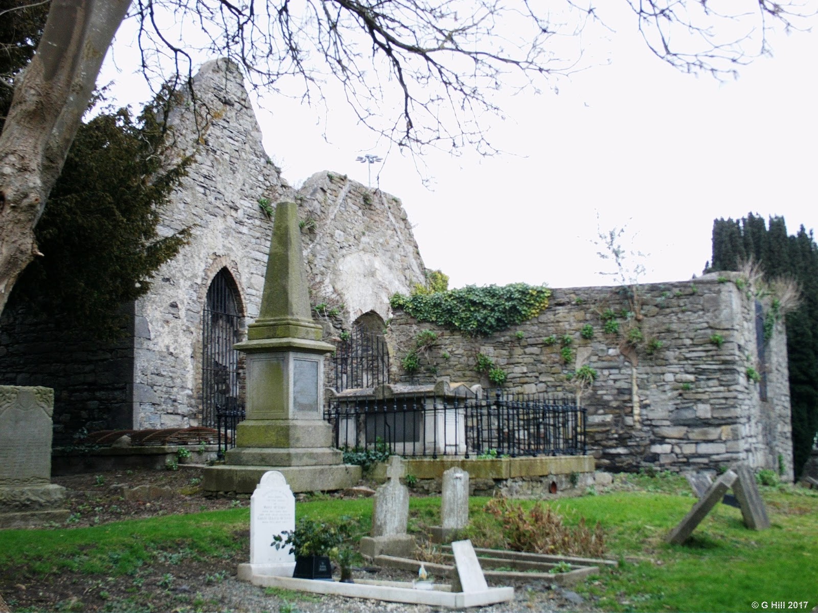 Ireland In Ruins: Finglas Abbey Co Dublin