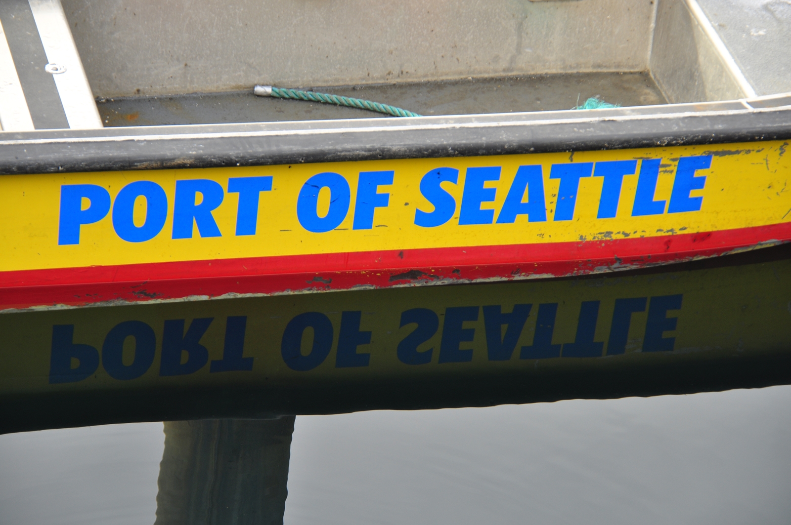 This Randomness: Seattle - The Signs