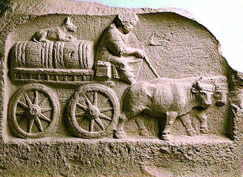 LAUREOLUS BLOG.: de juliol 2015