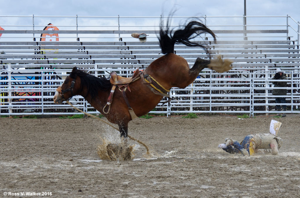 Ross Walker photography: Rainy Day Rodeo