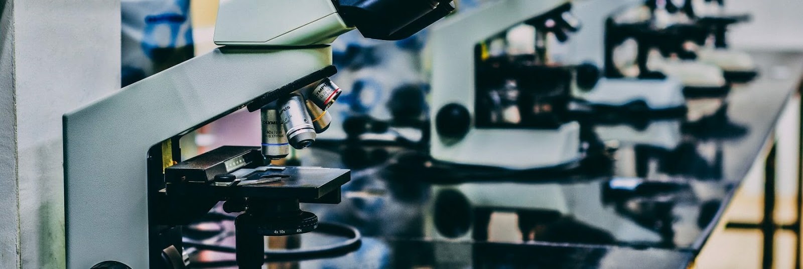 Helge Scherlund's eLearning News: An Adaptive Algorithm for K-12 ...