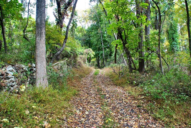 Southeastern PA Hiking: Thompson Trail